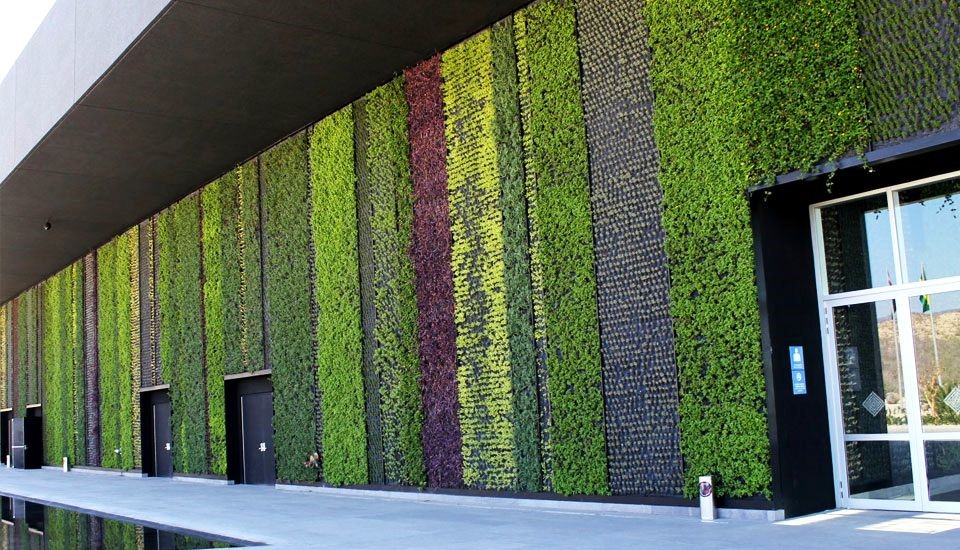 Green walls for a green City! | Don't Waste My Energy!