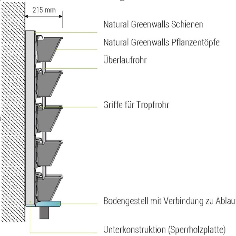 Green walls for a green City! | Don't Waste My Energy!